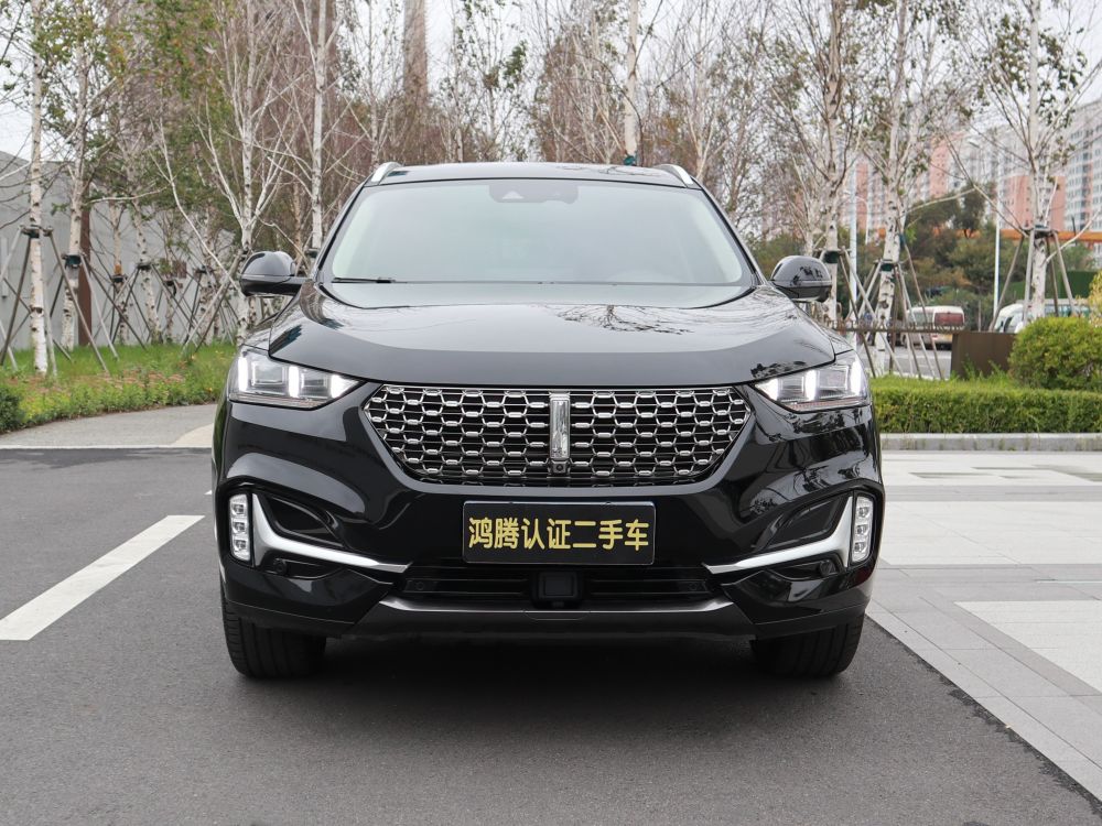 WEY VV6-哈尔滨鸿腾二手车经销有限公司