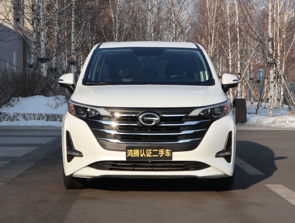 广汽传祺 传祺M6[传祺GM6]-哈尔滨鸿腾二手车经销有限公司