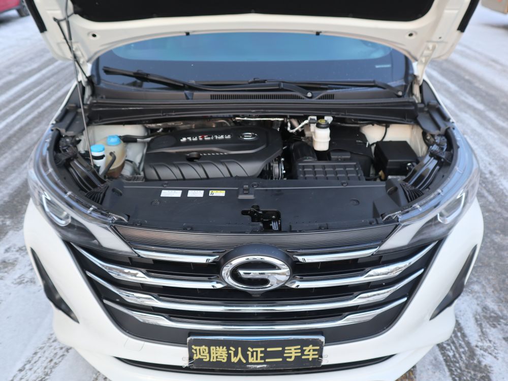 广汽传祺 传祺M6[传祺GM6]-哈尔滨鸿腾二手车经销有限公司